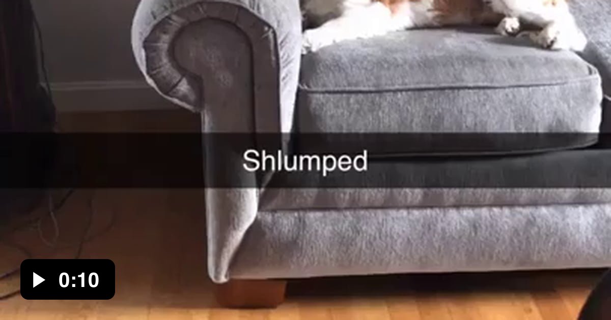 Shlumped - 9GAG