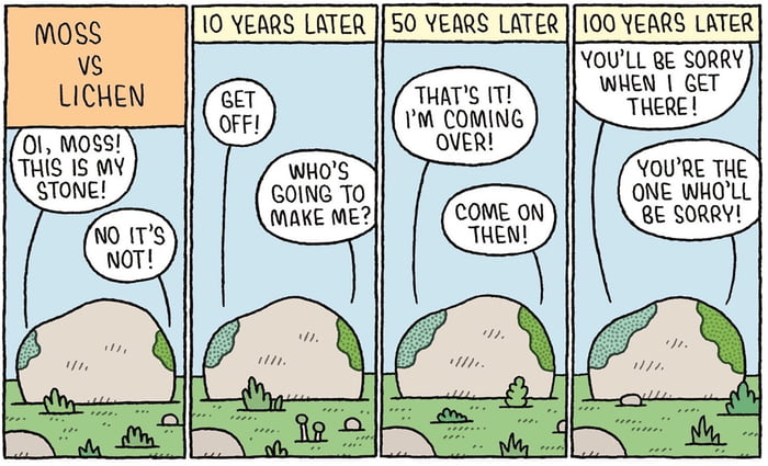 Moss vs Lichen - 9GAG