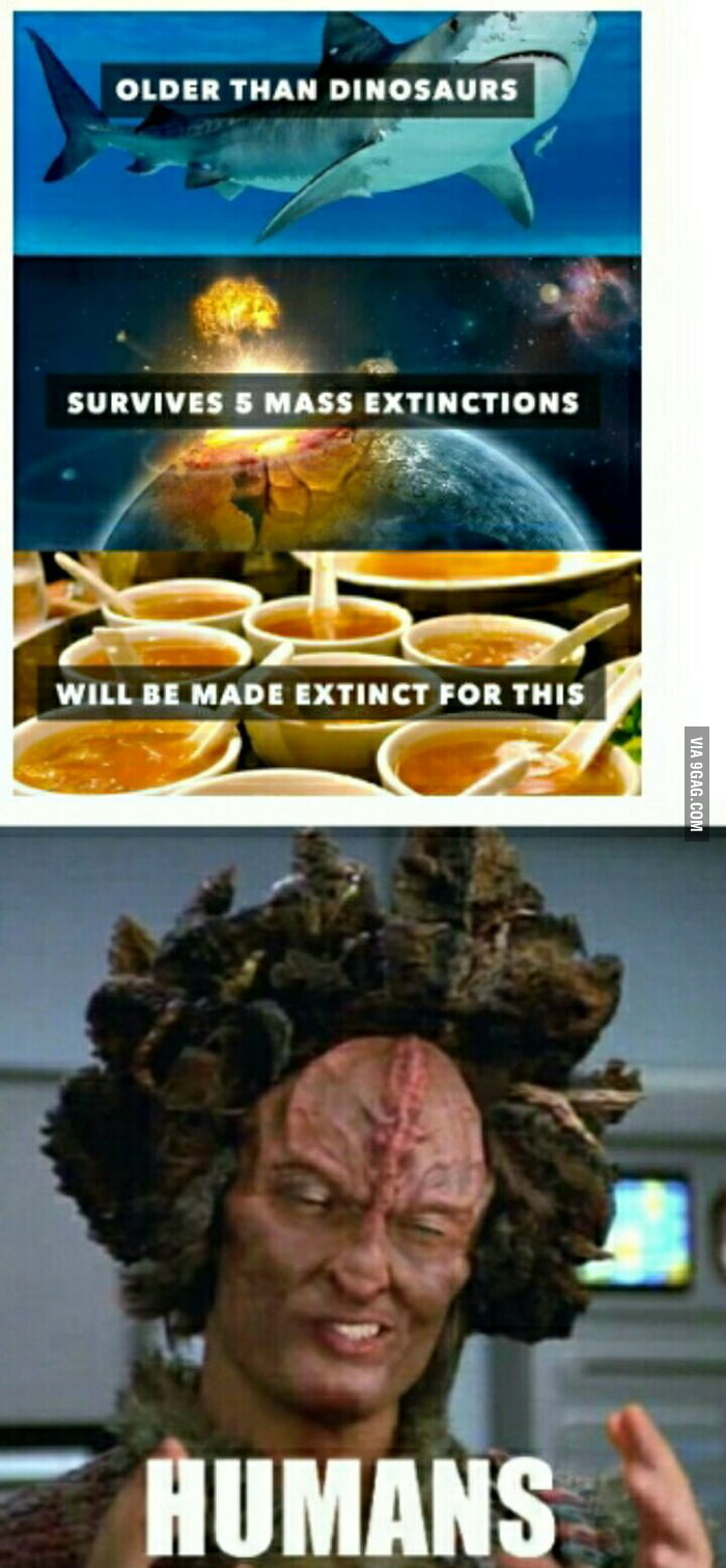 Humans - 9GAG