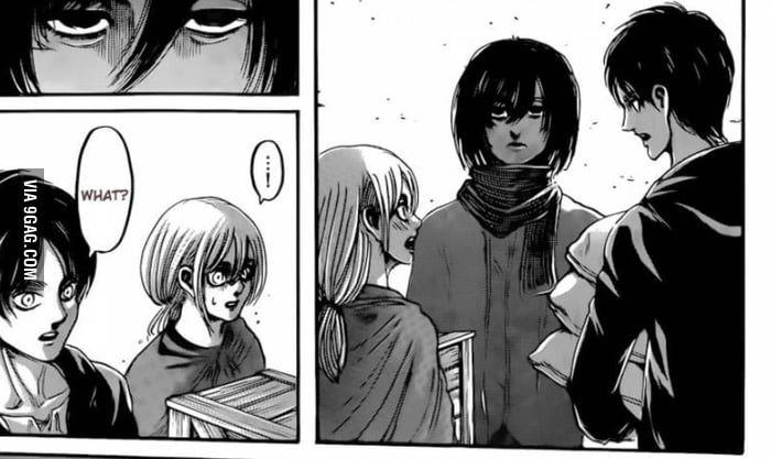 Dont mess with Mikasa's guyfu - 9GAG