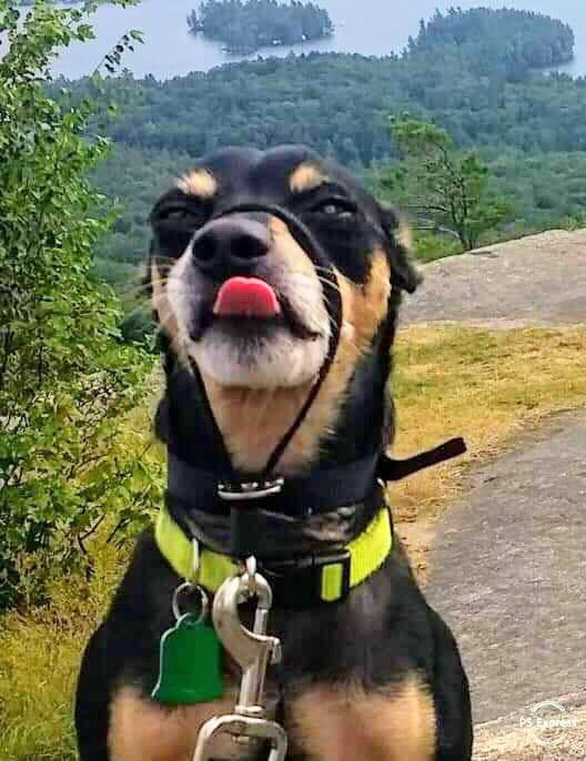 Proud derp face after reaching top of mountain - 9GAG