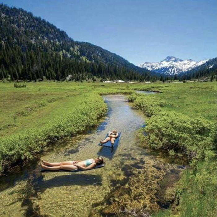 Meanwhile, at Wallowa Forest Reserve, Oregon - 9GAG