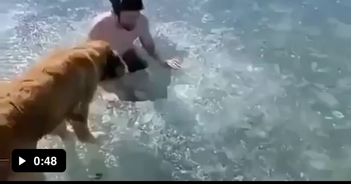 Ice diving without a diving rope - 9GAG