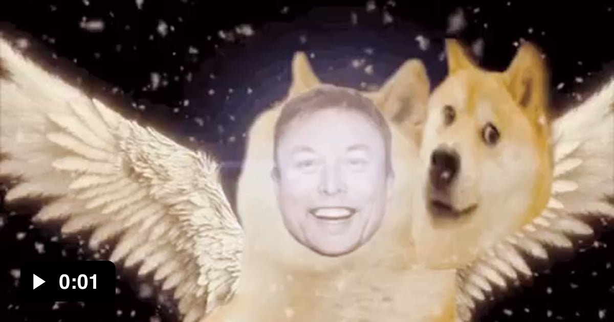 Fly with doge ... - 9GAG