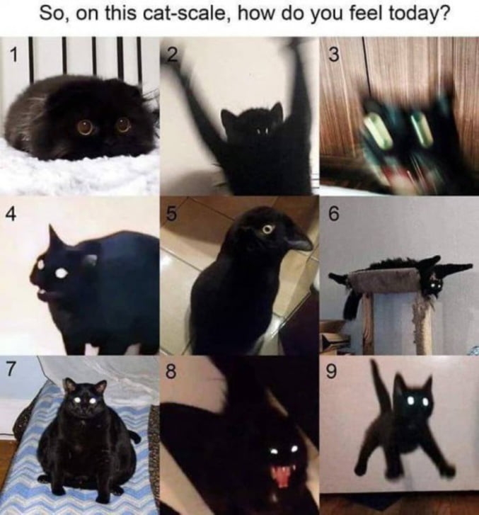 Cat-O-Meter - 9GAG