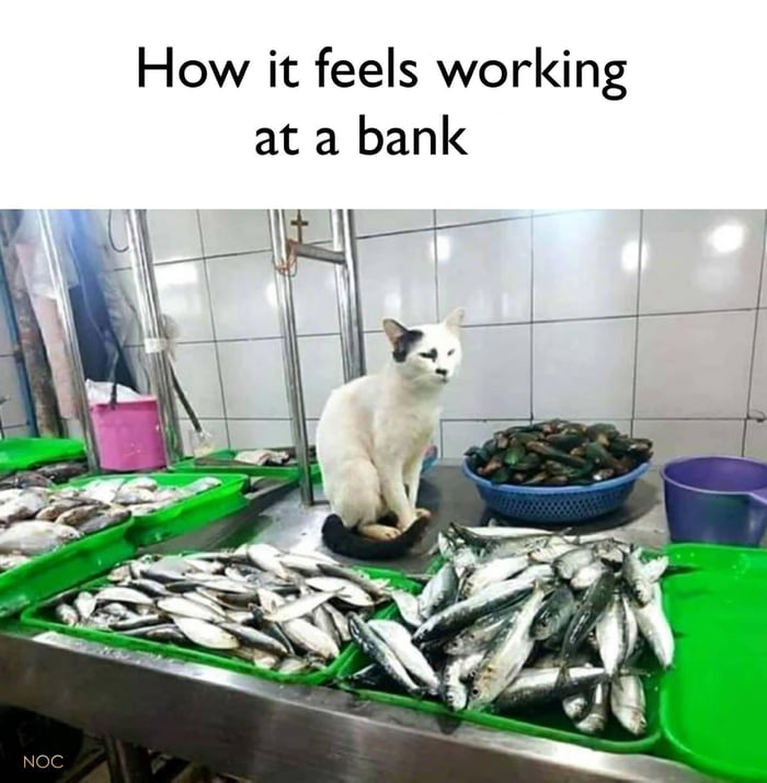 How it feels working in a bank. - 9GAG