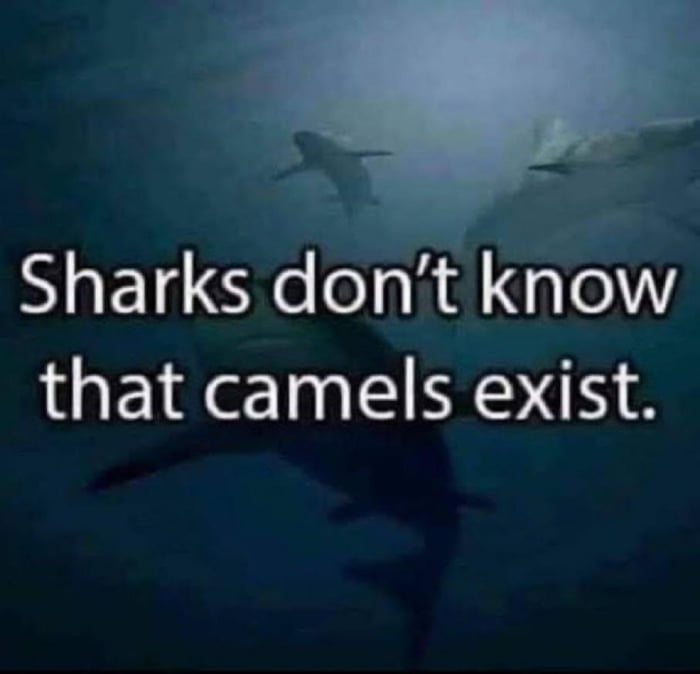 I’m just baffled honestly - 9GAG