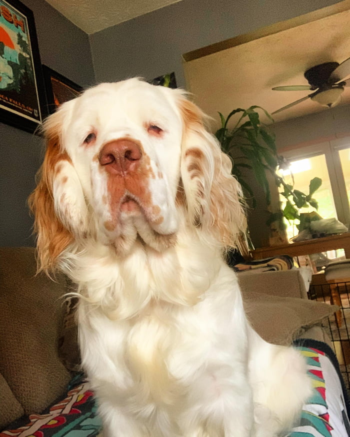 Helga is a jowly girl - 9GAG