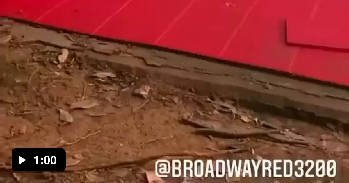 That squirrel going crazy - 9GAG