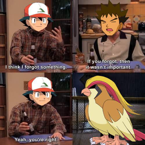 "See you soon, Pidgeot!" - 9GAG