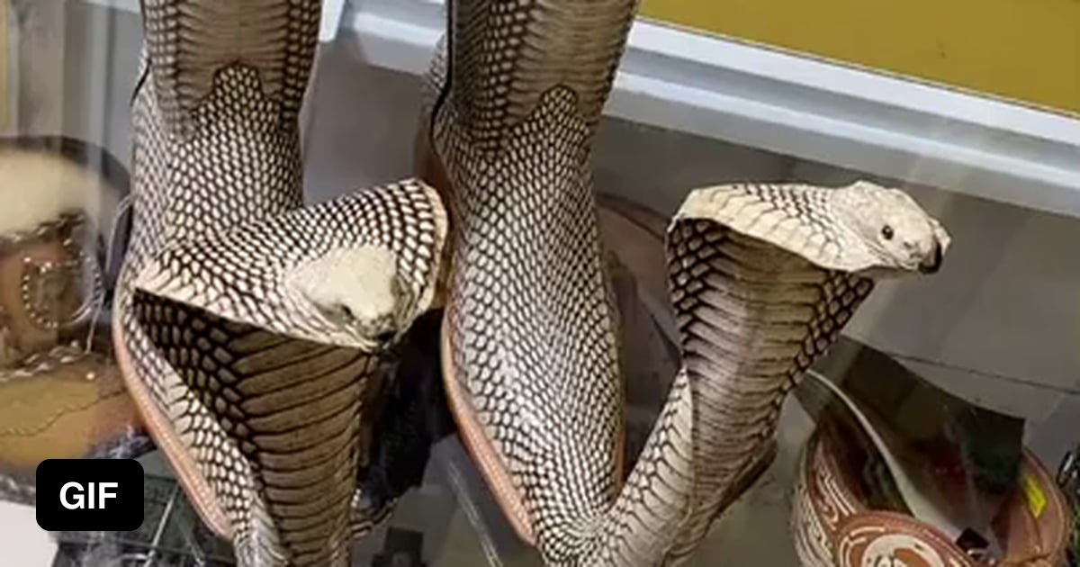 Snakeskin and head boots - 9GAG