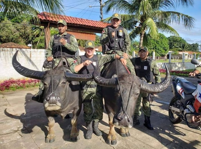 On Marajo Island in Brazil, police officers patrol the streets on ...