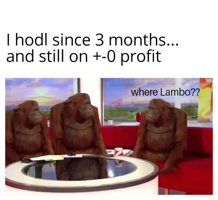 Where Lambo? - 9GAG
