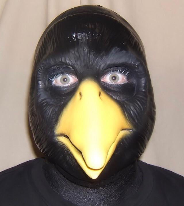 This bird cosplay. - 9GAG