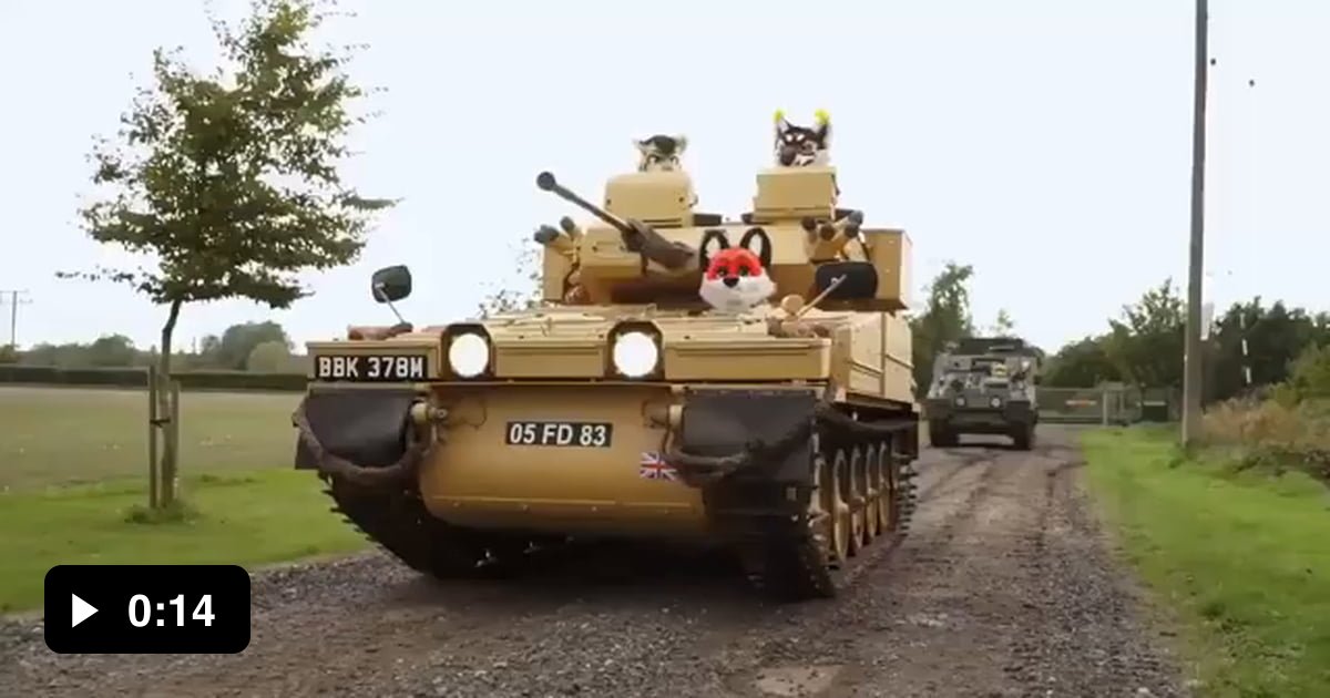 Furry tank - 9GAG