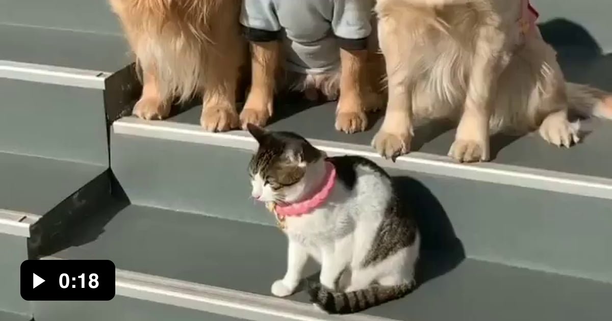 Dude, the camera is that way - 9GAG