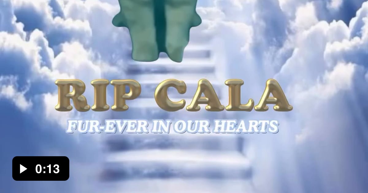 Another legend is gone. RIP kitty - 9GAG