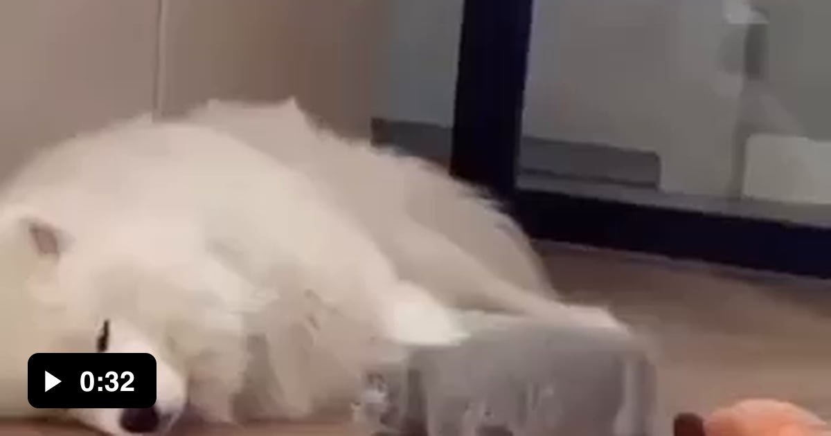 It's nice to have a big warm and fuzzy friend. - 9GAG