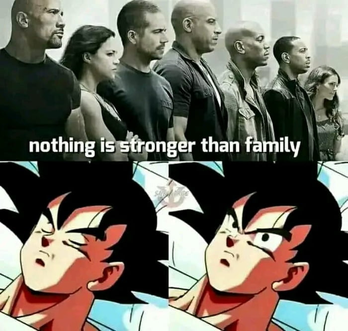 Goku: "Who is family? Is he strong?" - 9GAG