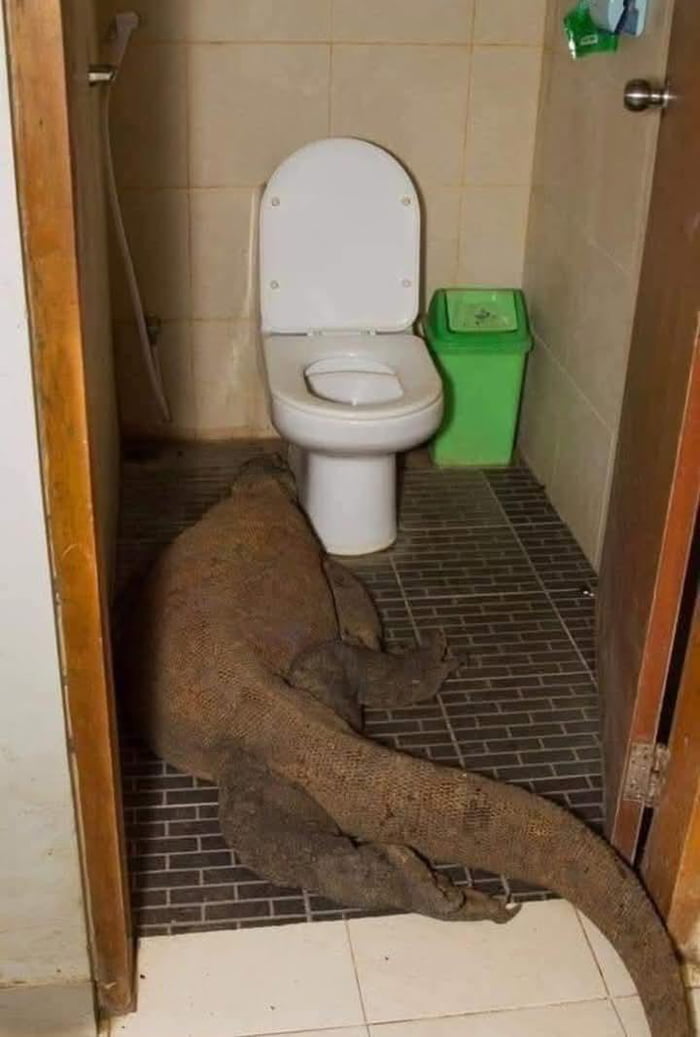 The Inevitable Toilet Monitor - 9GAG