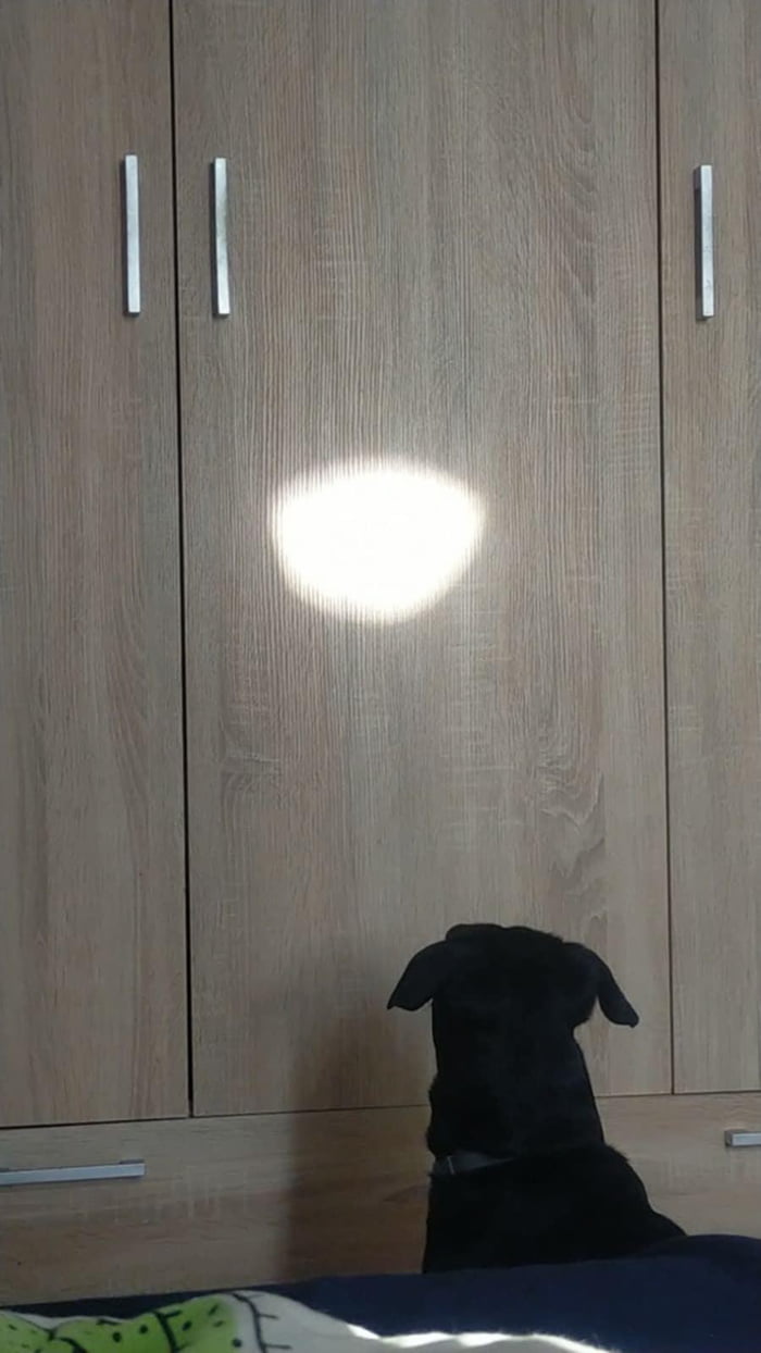 She keeps looking at this light - 9GAG