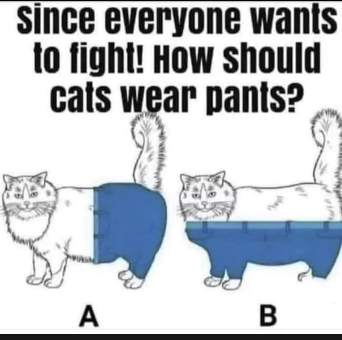 I say A - 9GAG