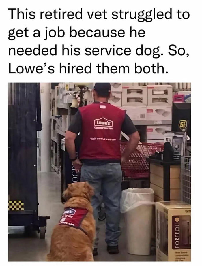 Retired vet struggled to get a job because he needed his service dog ...