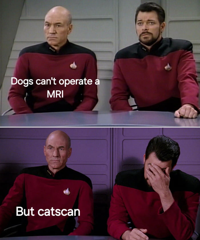 I know they're not the same - 9GAG