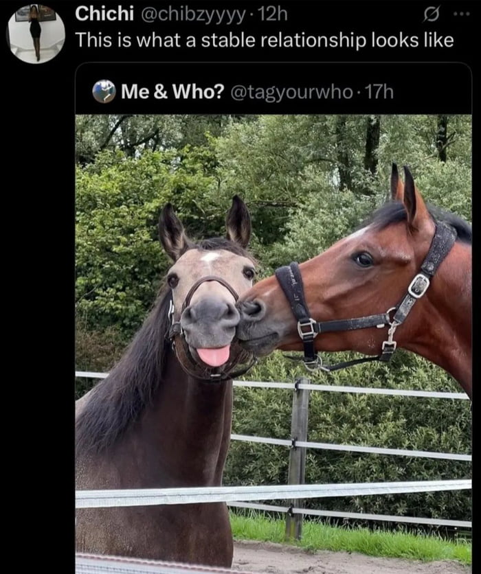 STABLE Relationship, Coral! - 9GAG