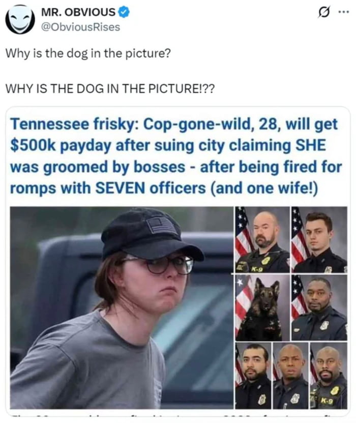 What the dog doin - 9GAG