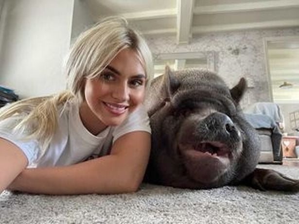 This is what we encounter in every single movie, sitcom, commercial, or ...