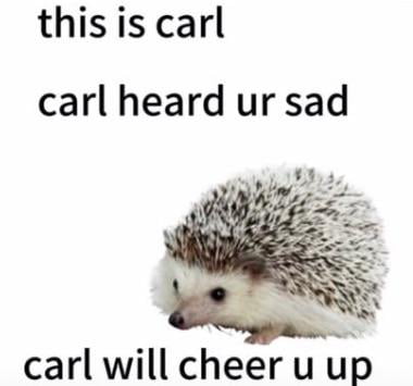 Carl is here - 9GAG