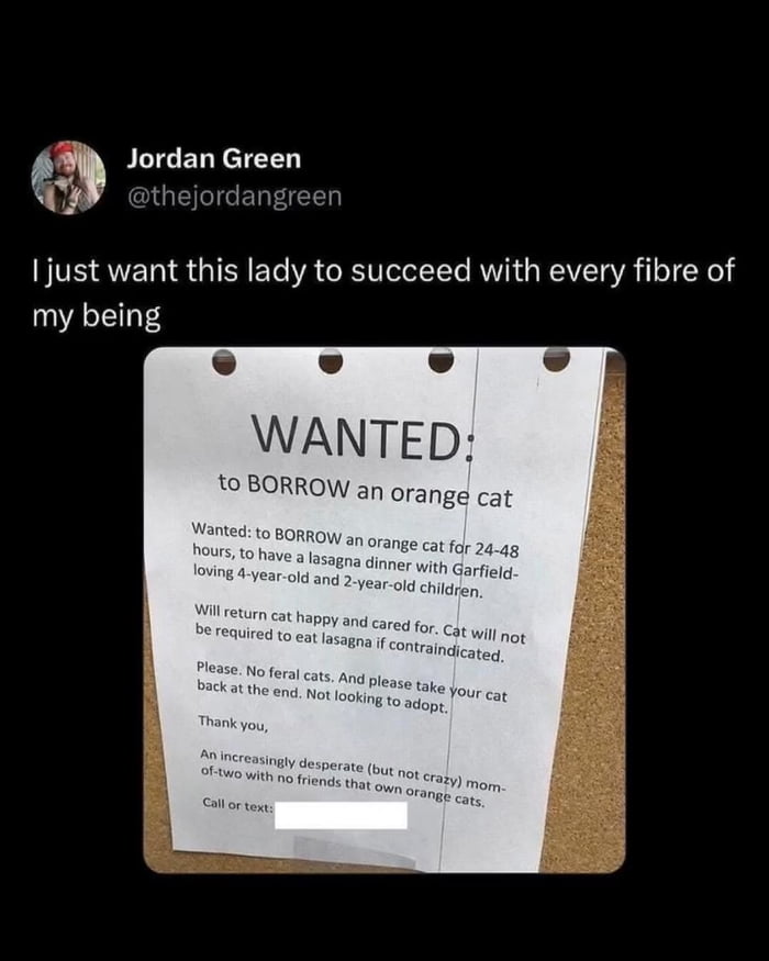 The dedication to the Garfield bit is unmatched. - 9GAG