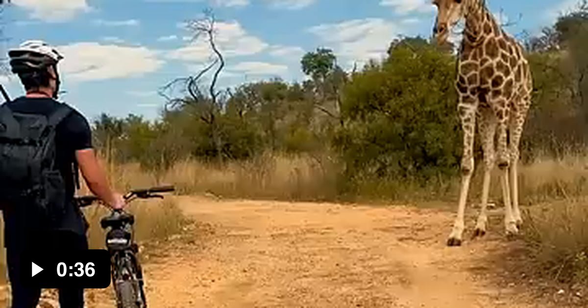 Stop for road inspection please! - 9GAG