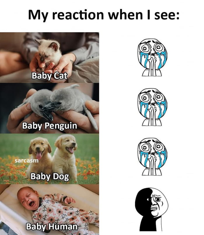 Where is the lie?? - 9GAG