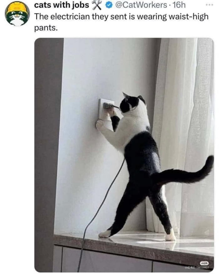 He's taking the dress code very seriously. - 9GAG