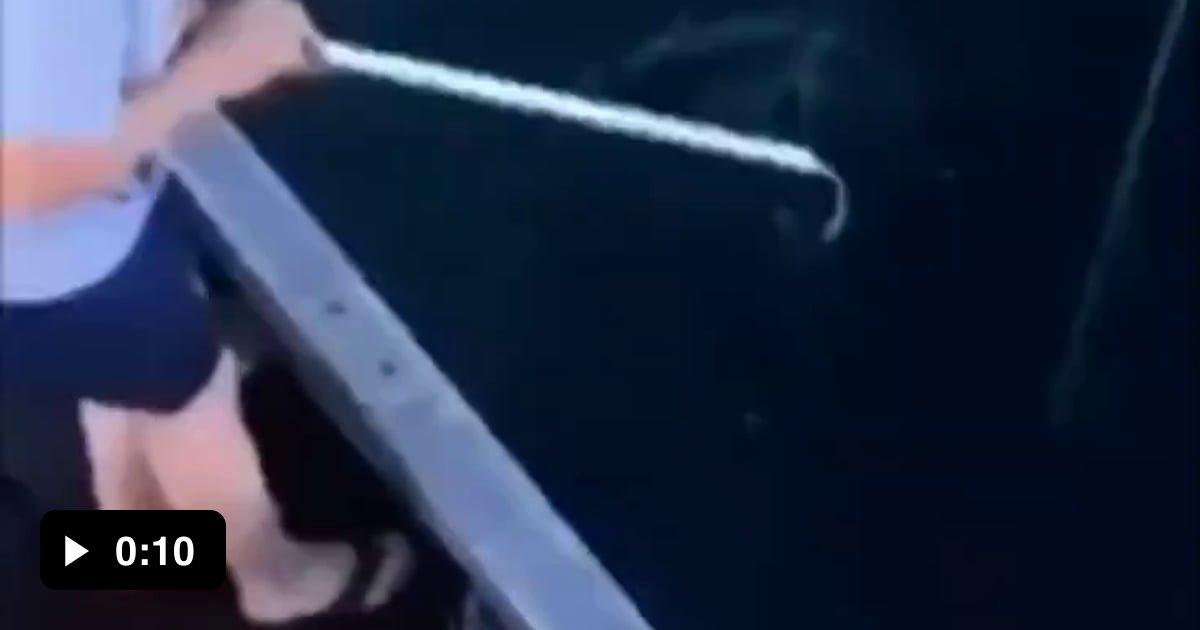 Fishing with Shiroko - 9GAG