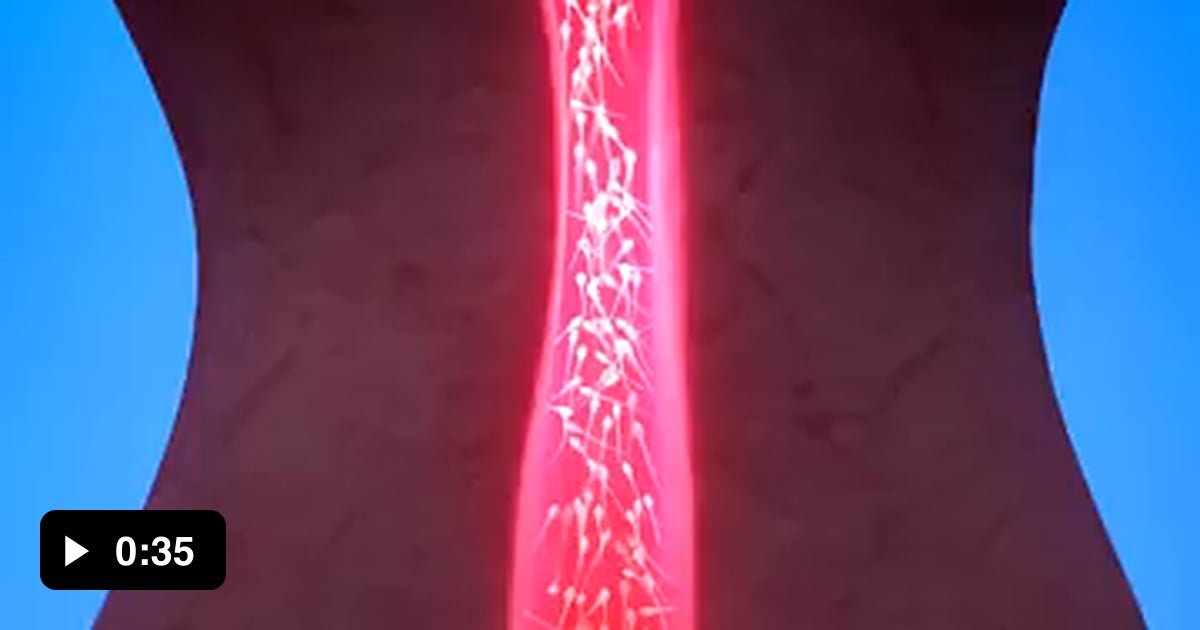 How the Process of Conception Works - 9GAG