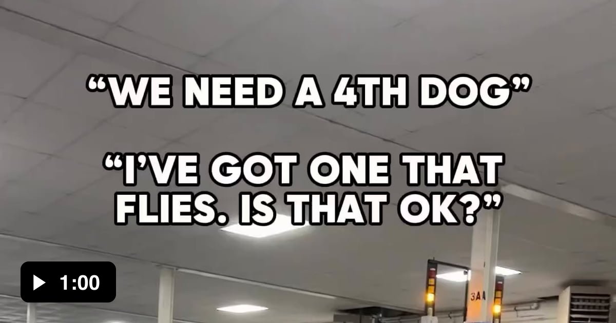 Gravity is still a theory after all... - 9GAG