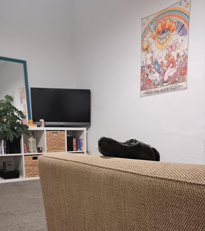 The pure guilt I have to deal with while I'm cooking because I'm 'not ...