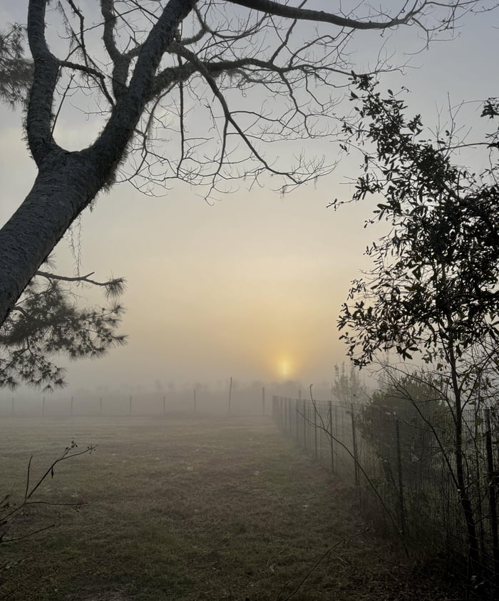 The soft light of a sunrise through heavy fog - 9GAG