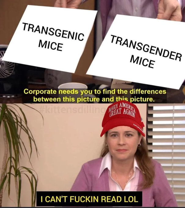 MAGA doesn't know the difference between transgenic and transgender. - 9GAG