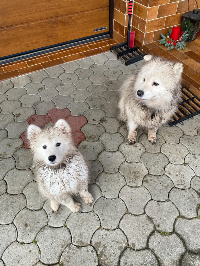 Two dummies haha - 9GAG