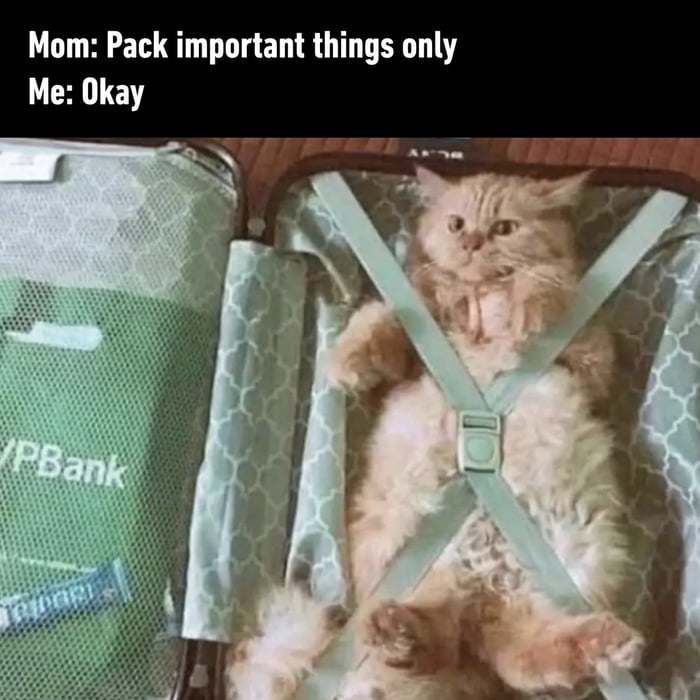 Only the essentials - 9GAG