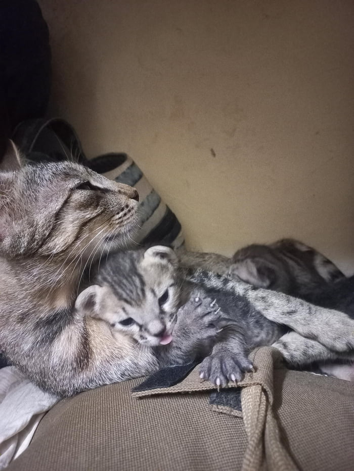 He's illegally small... - 9GAG