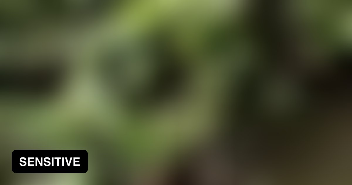 Meet The Electric Eel - 9GAG