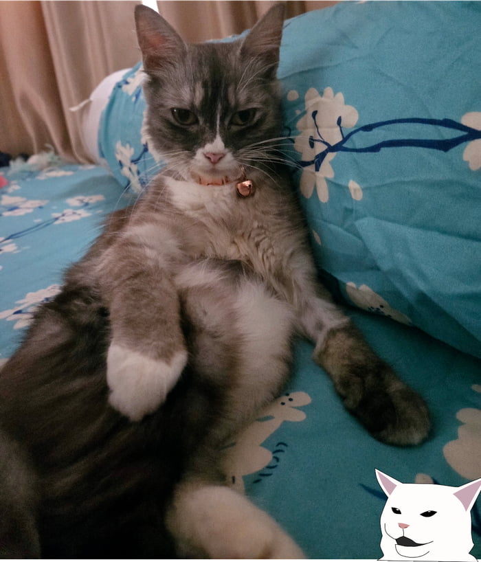 Stop scrolling and look at me - 9GAG