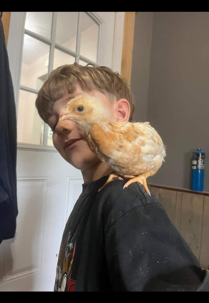 Seeing more than meets the eye - 9GAG