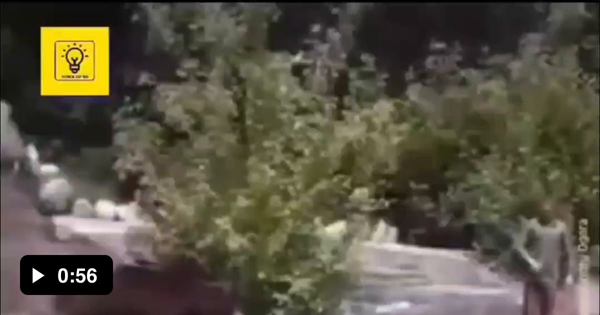 Bear with the pixels - 9GAG