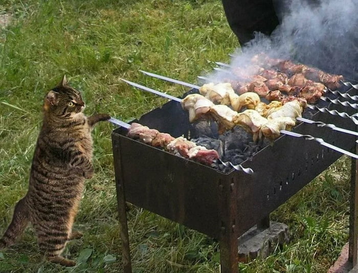 BBQ time - 9GAG